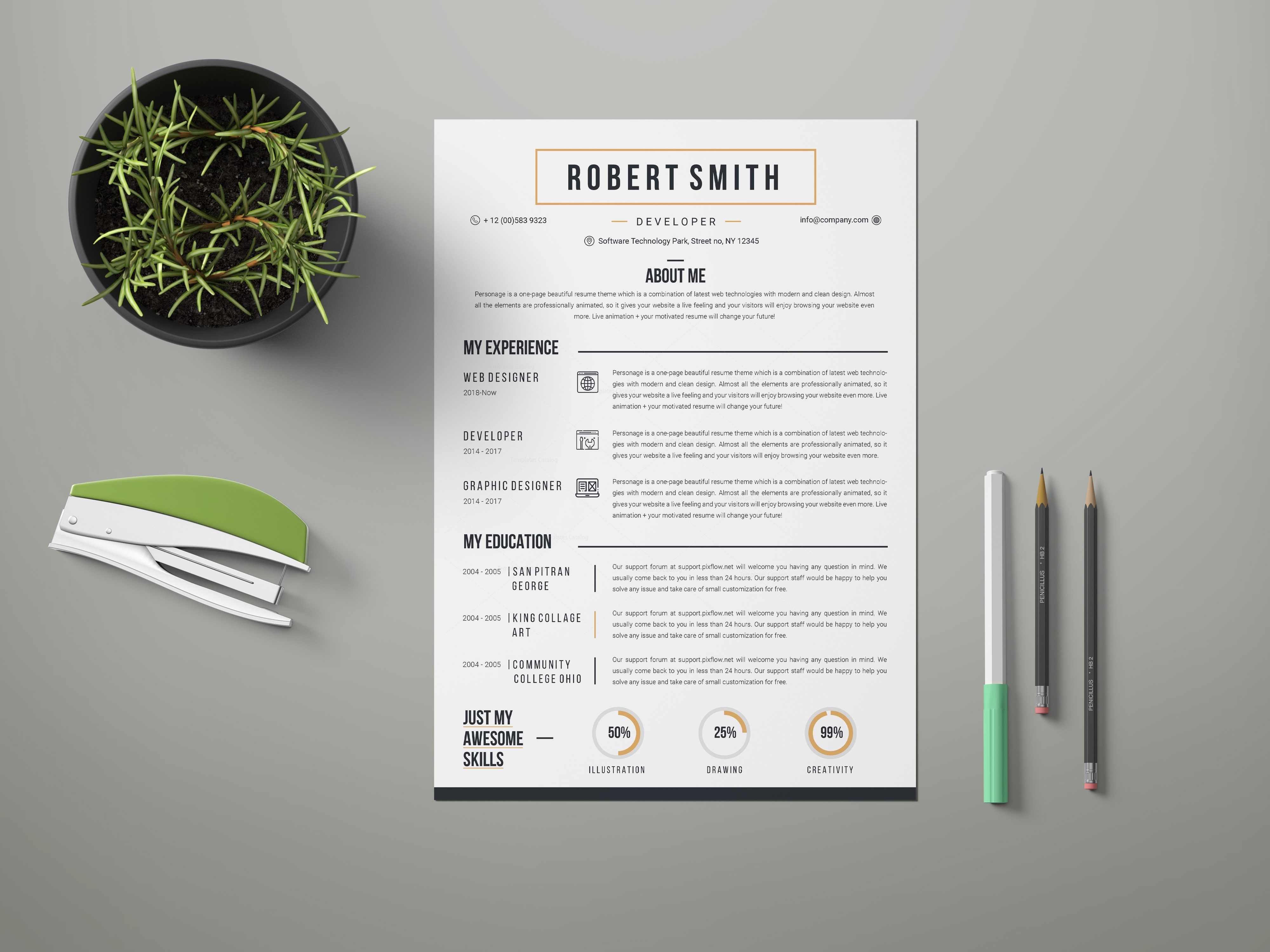 Classic Printable Resume Design - Graphic Templates