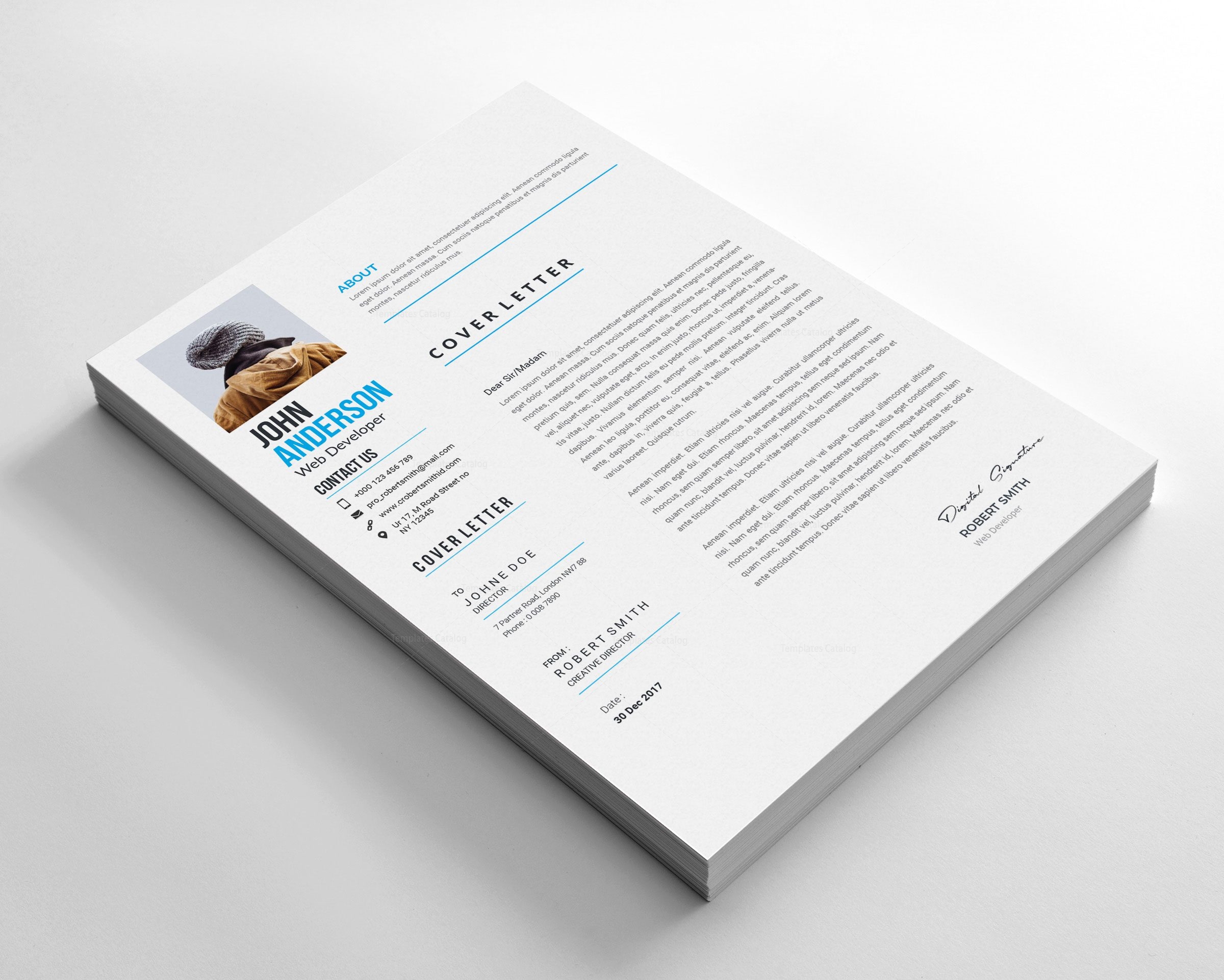 Clean Stylish Resume Design - Graphic Templates