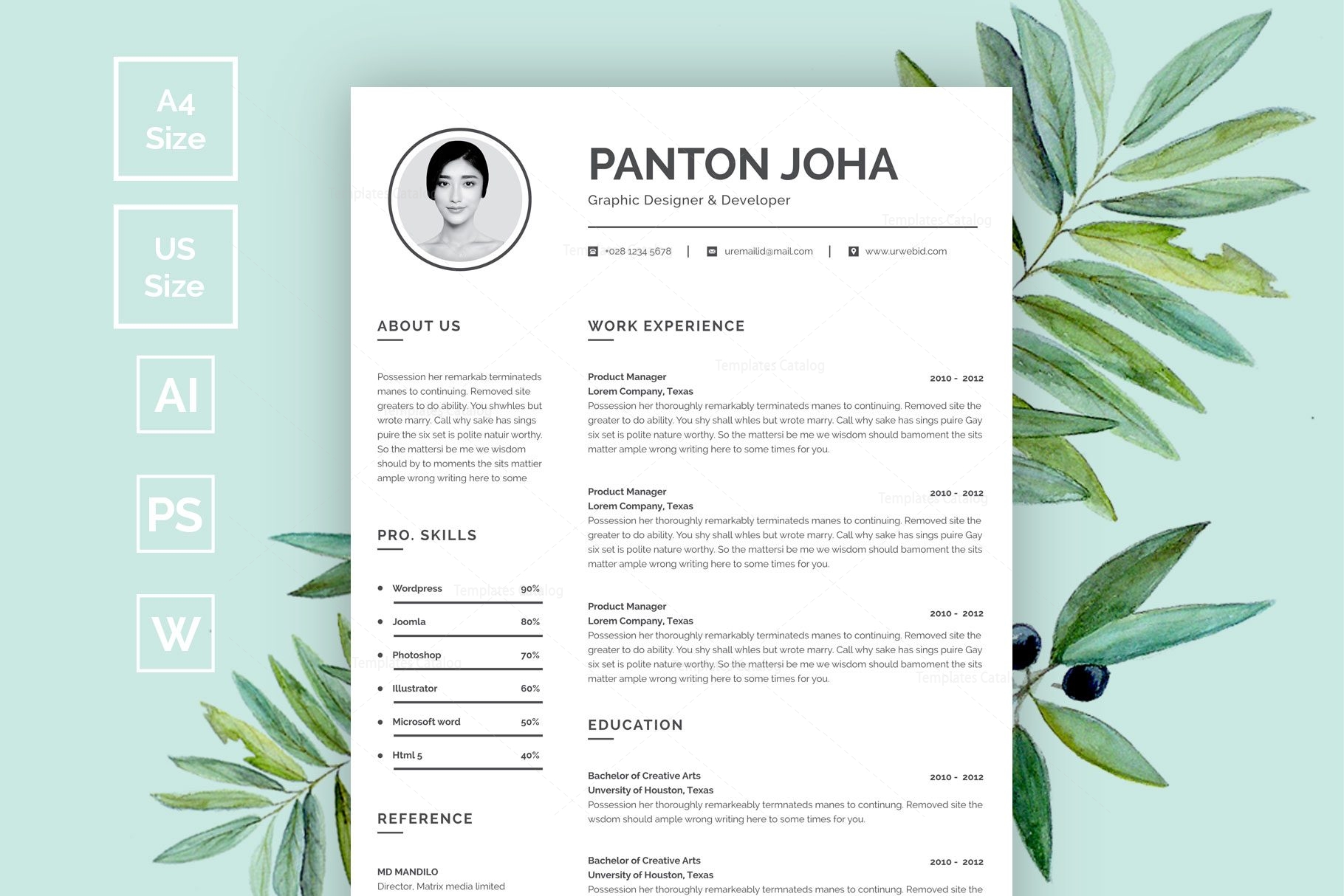 High Class Curriculum Vitae Template - Graphic Templates