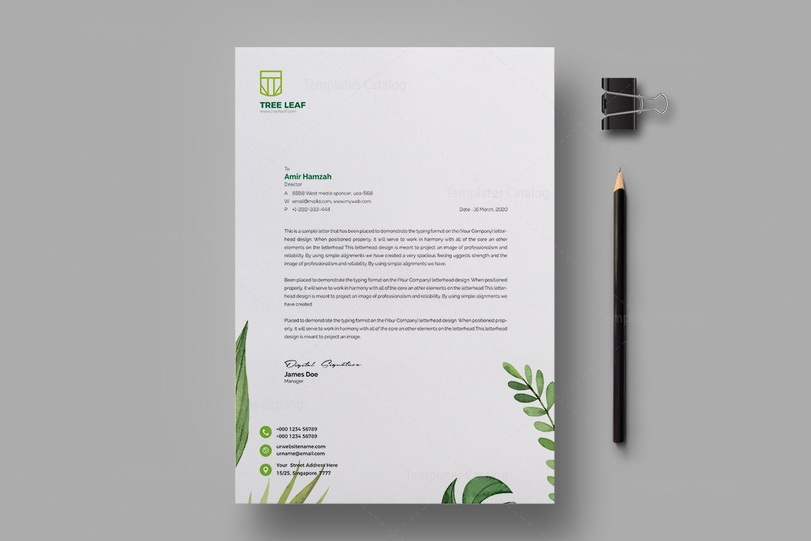 Leaf Professional Corporate Letterhead Template - Graphic Templates