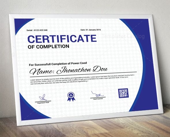 Professional Certificate Design Template - Graphic Templates