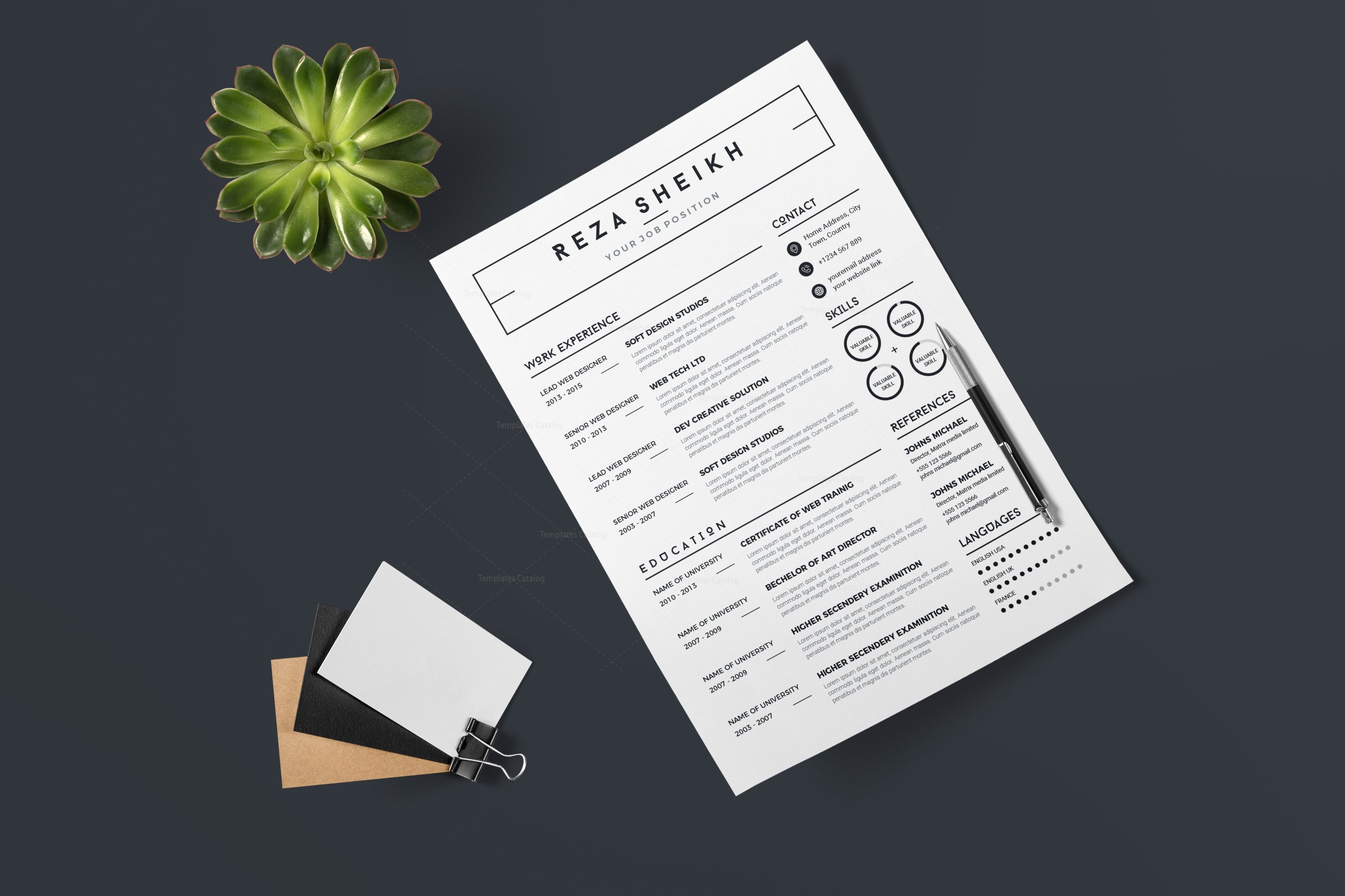 Standard Resume Design - Graphic Templates