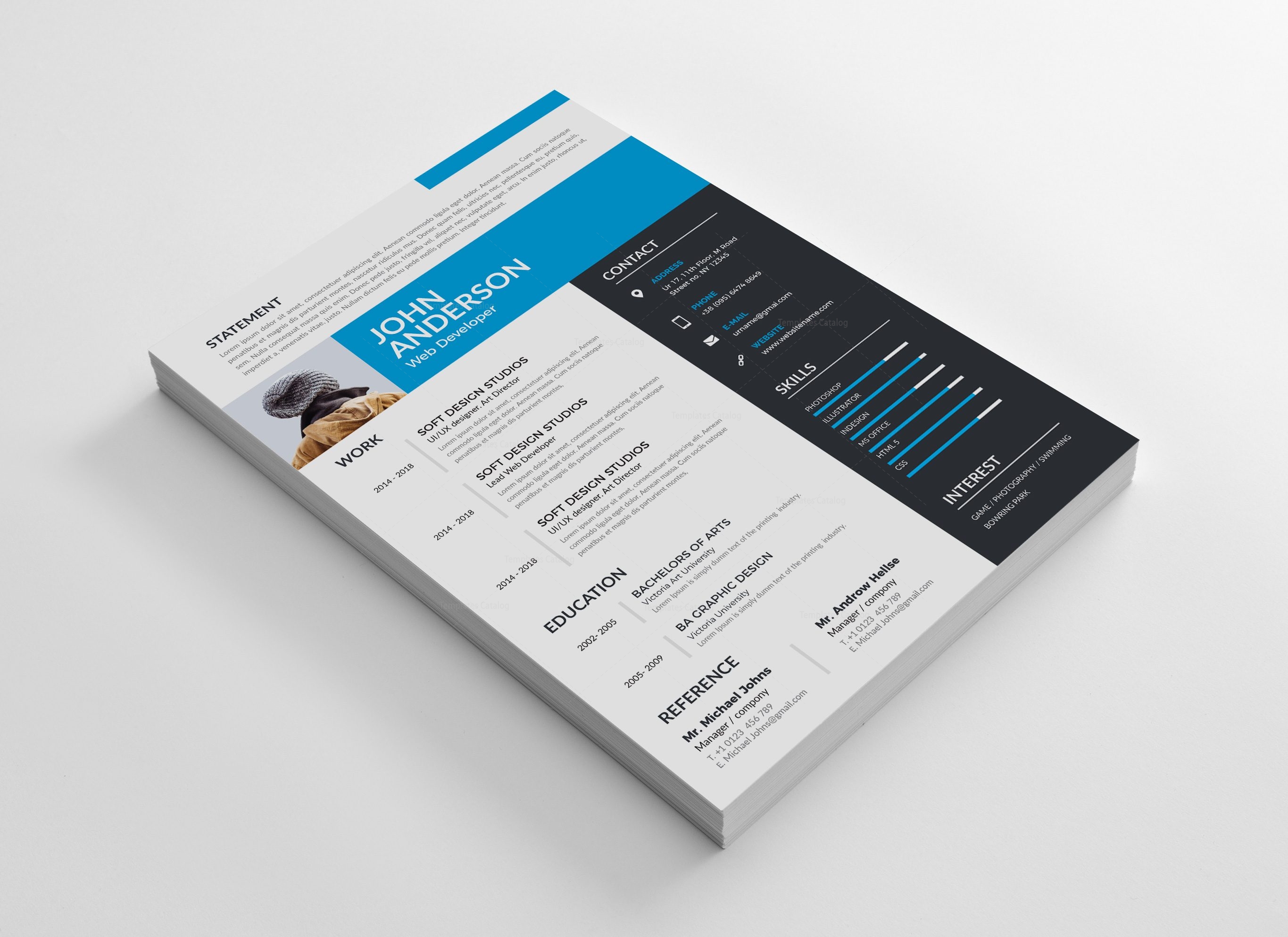 Venice Professional Resume Design Template - Graphic Templates